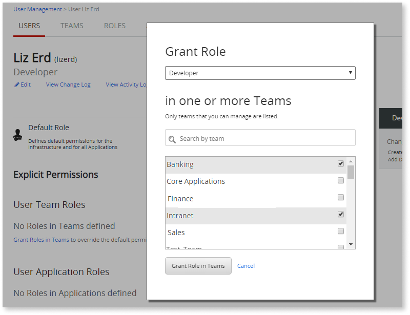 Create an IT Team - OutSystems 11 Documentation