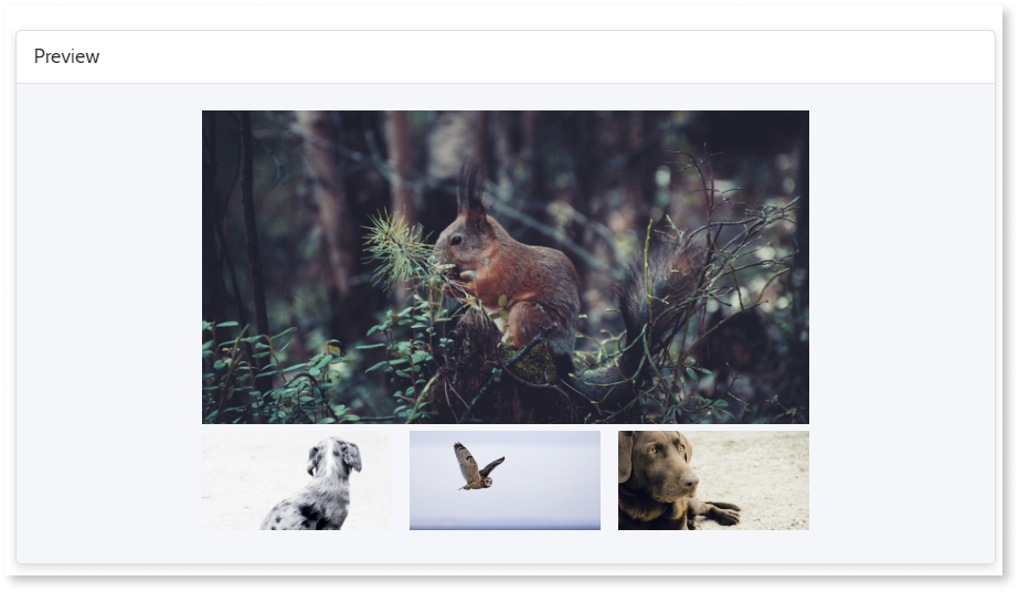 Light Box Image - OutSystems 11 Documentation