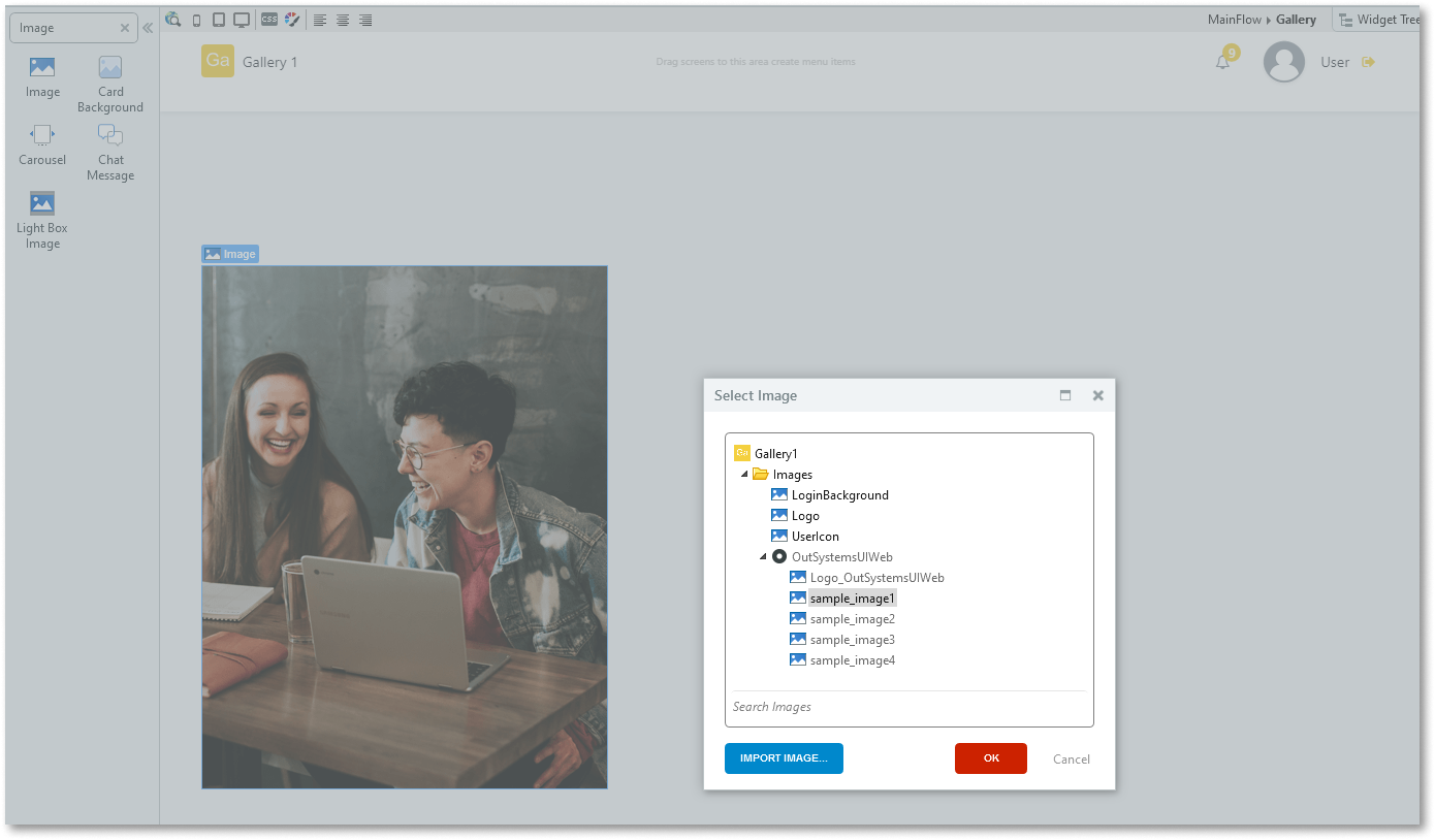 Gallery - OutSystems 11 Documentation