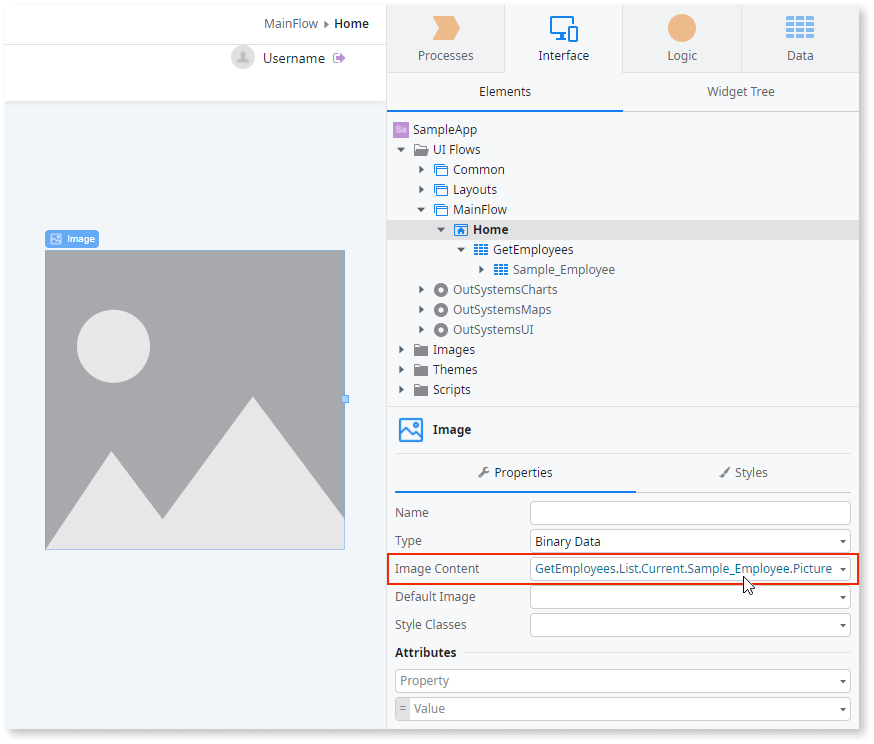 Display an Image Stored in the Database - OutSystems 11 Documentation